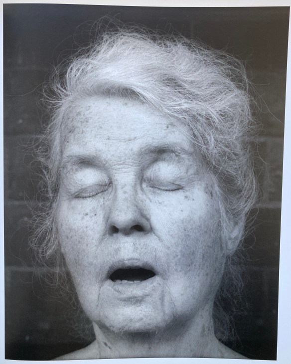 Passing the Polygraph – Books of Collections | Francis Hodgson