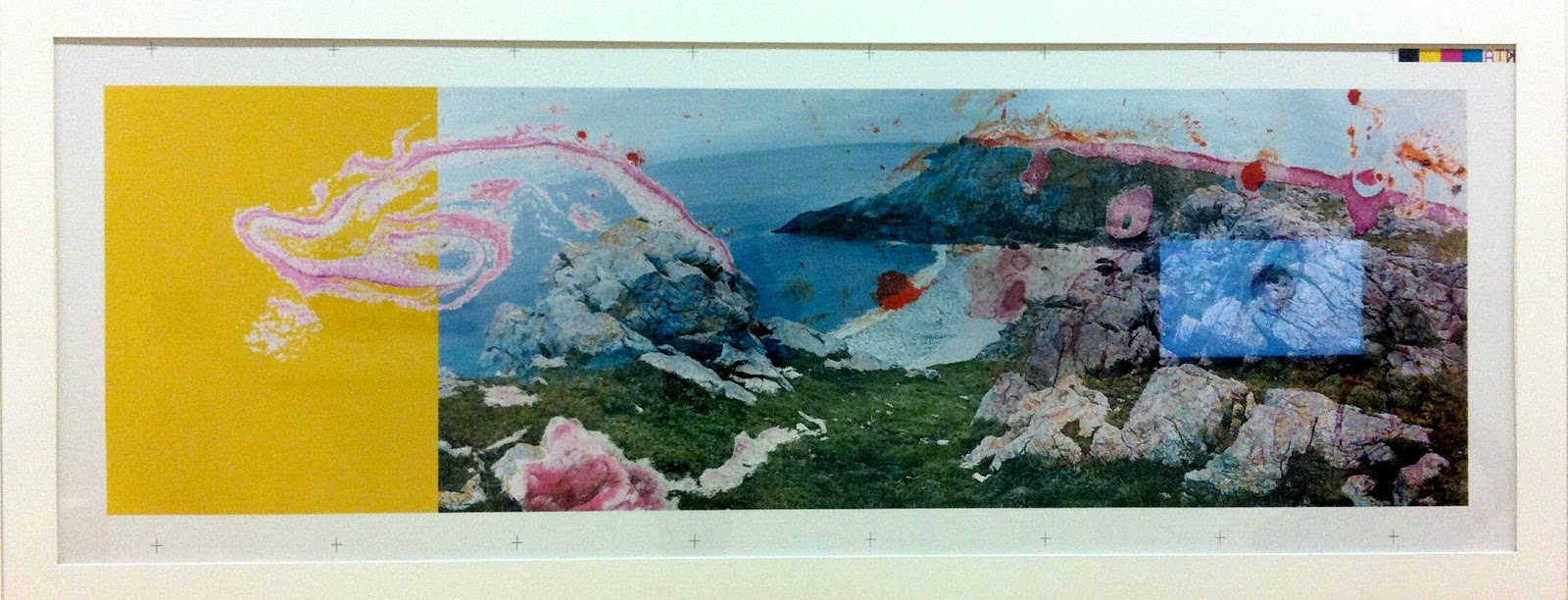 Viral Landscape by Helen Chadwick | Francis Hodgson